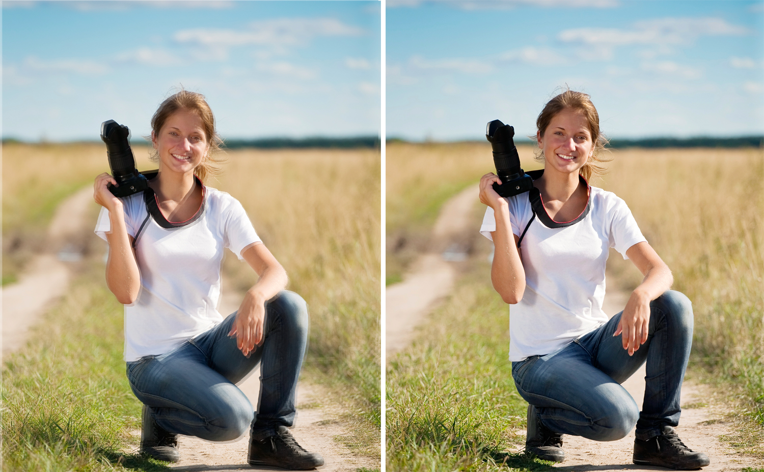 PTZ Cameras: A Comprehensive Guide